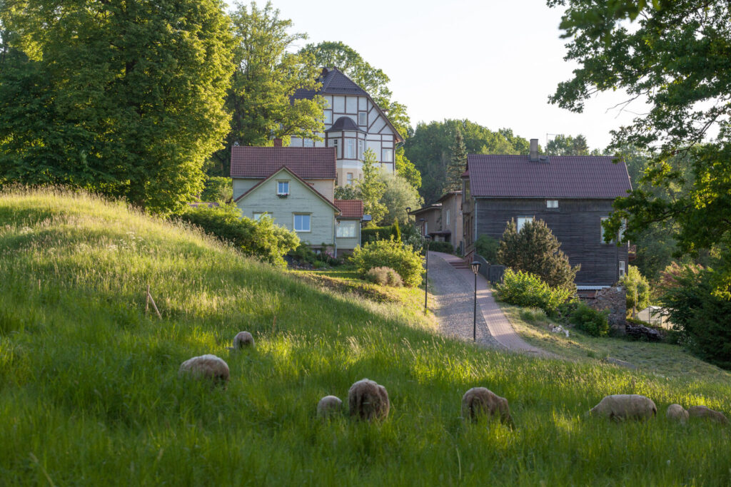 Top 5, kuhu Viljandis minna | Visit Viljandi